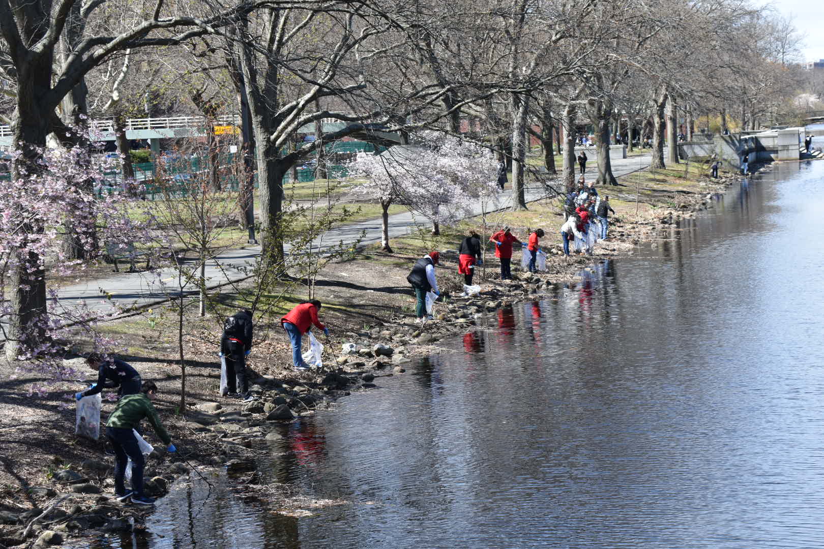 Charles River Cleanup - The Esplanade Association